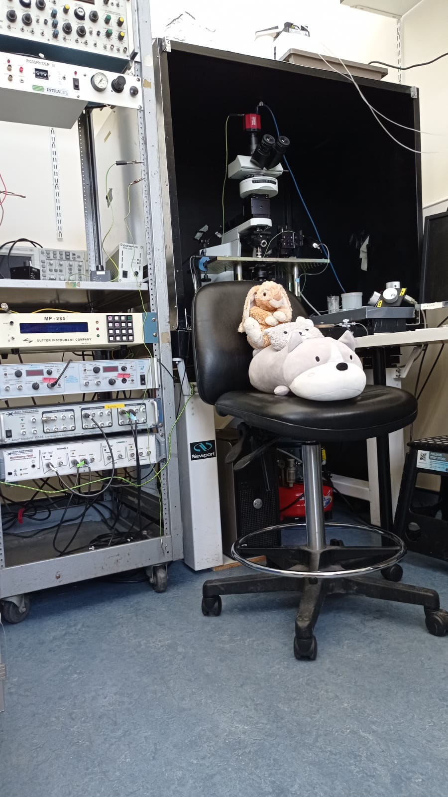 Who we are – Galliano Lab @Cambridge_Uni